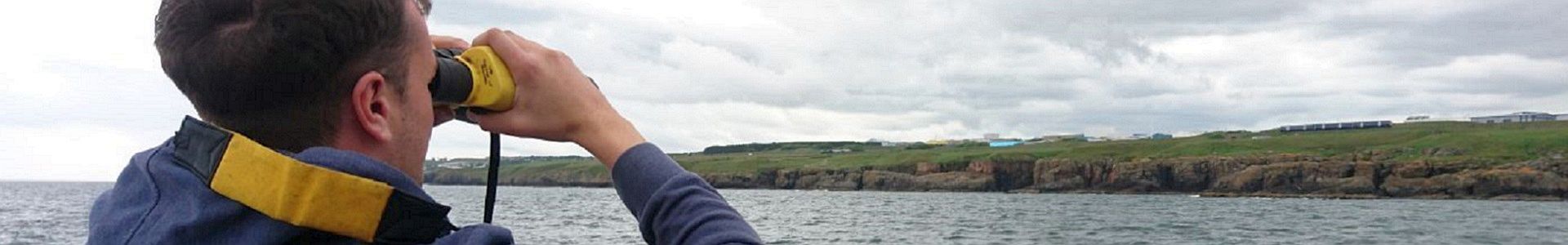 Marine Mammal Observations – Aspect Land & Hydrographic Surveys